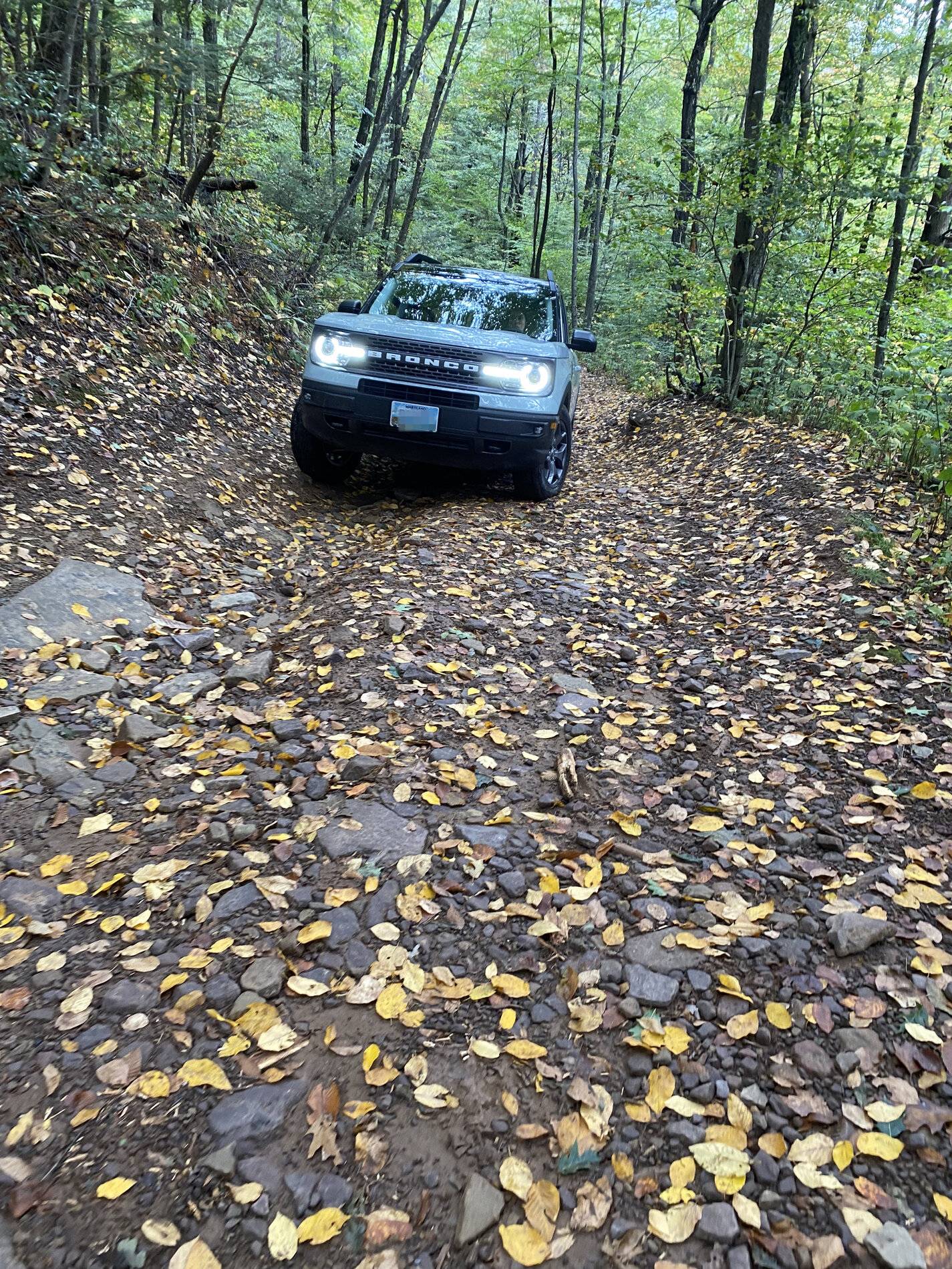 Trip Report: Flagpole Knob, VA Via Dunkle Hollow Road in a Bronco Sport ...