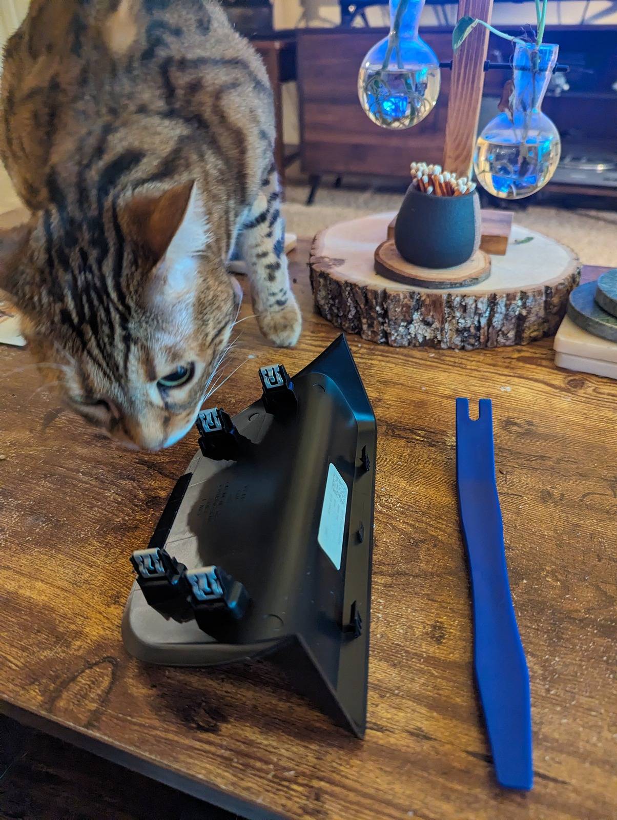 Tackform Bronco Sport 2021+ | 2021+ Ford Bronco Sport Forum ...