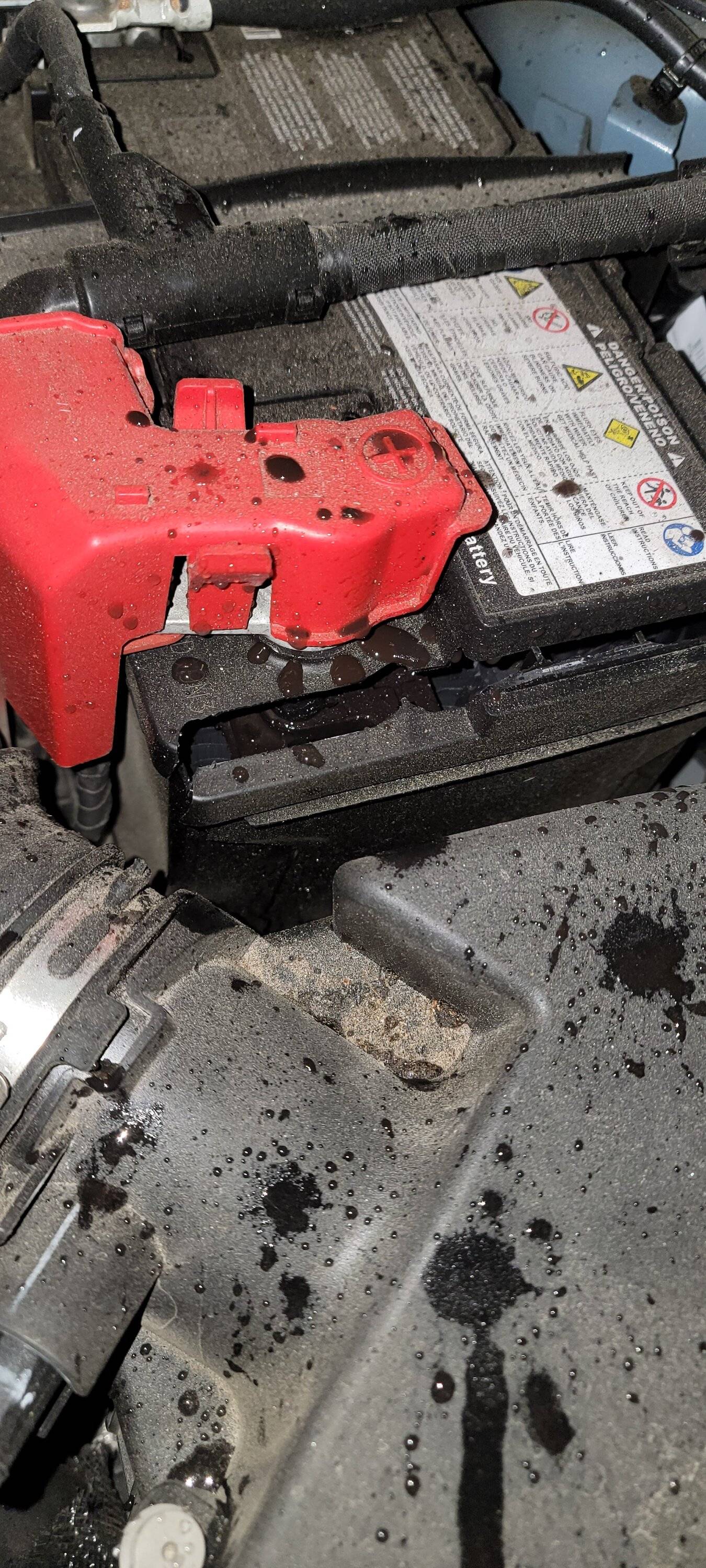 Battery exploded! | Page 3 | 2021+ Ford Bronco Sport Forum ...