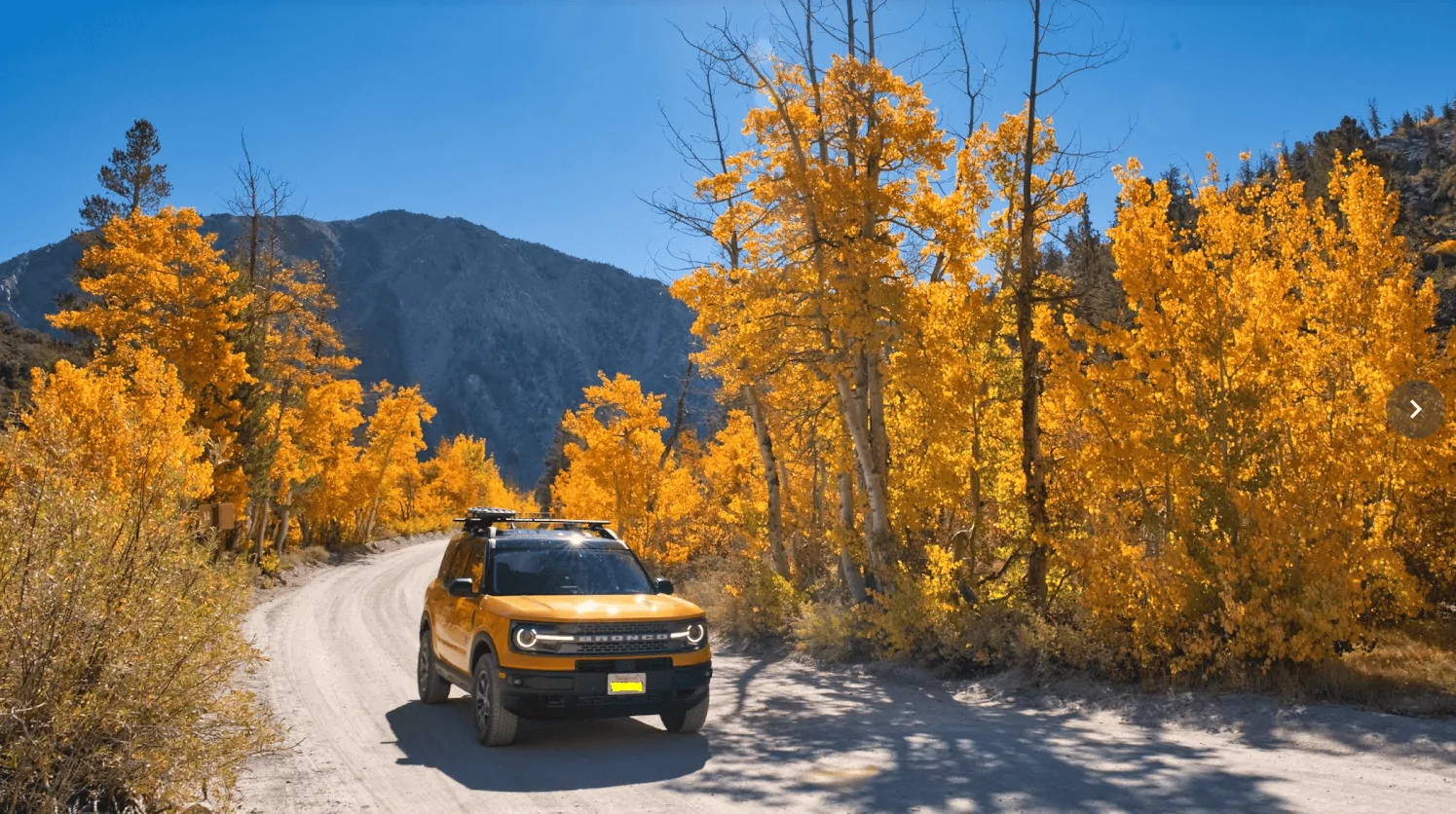 Nature's Cyber Orange | 2021+ Ford Bronco Sport Forum ...