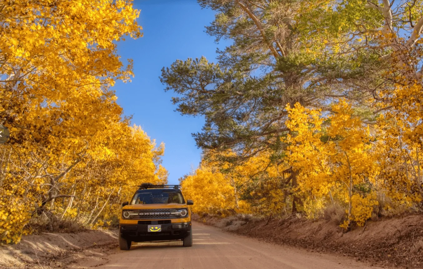 Nature's Cyber Orange | 2021+ Ford Bronco Sport Forum ...