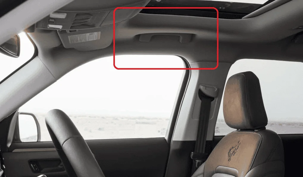 Overhead Driver's Door Entry Assist Handle | 2021+ Ford Bronco Sport ...