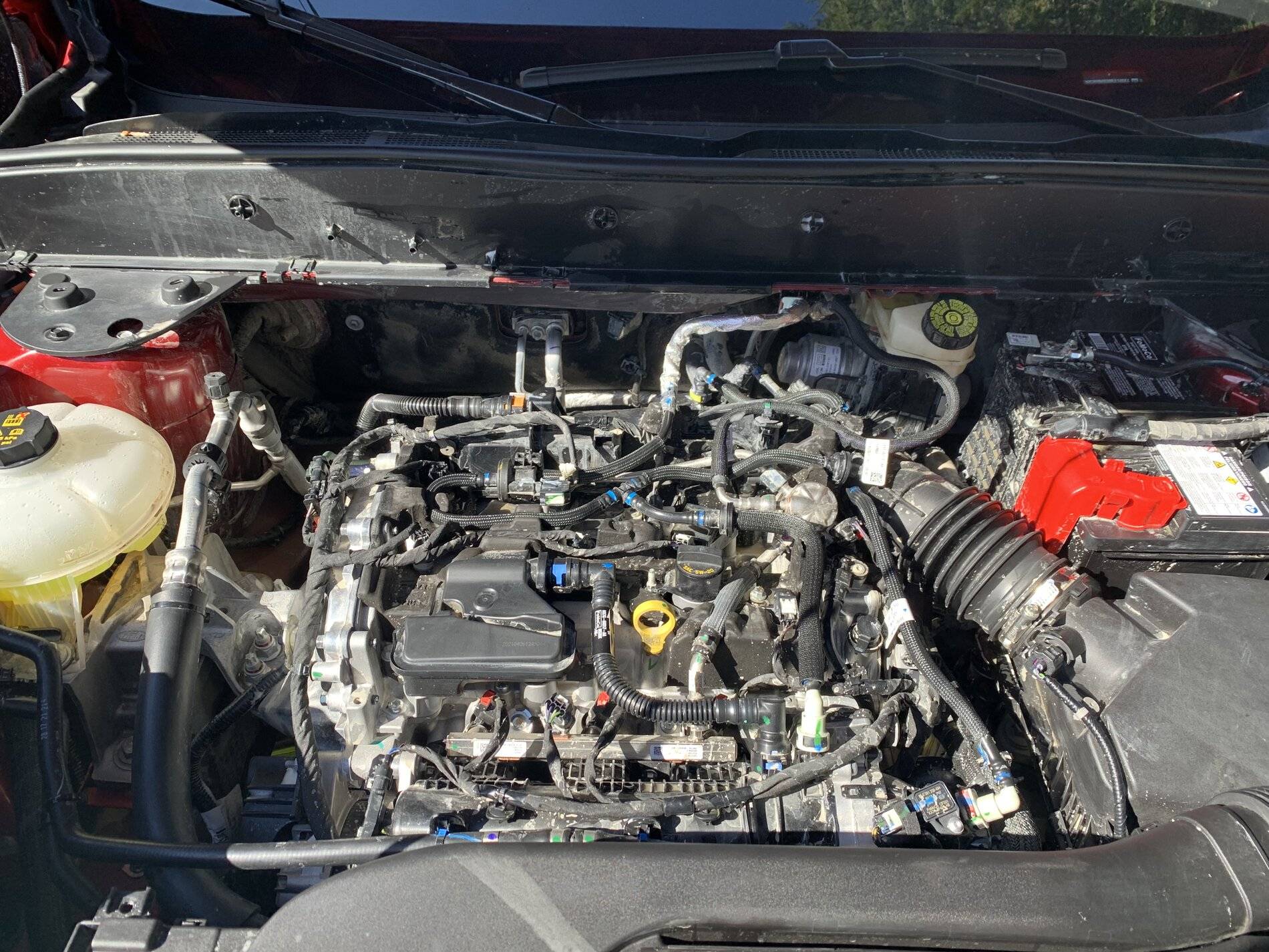 Cleaning Engine Bay. | 2021+ Ford Bronco Sport Forum - Broncosportforum.com