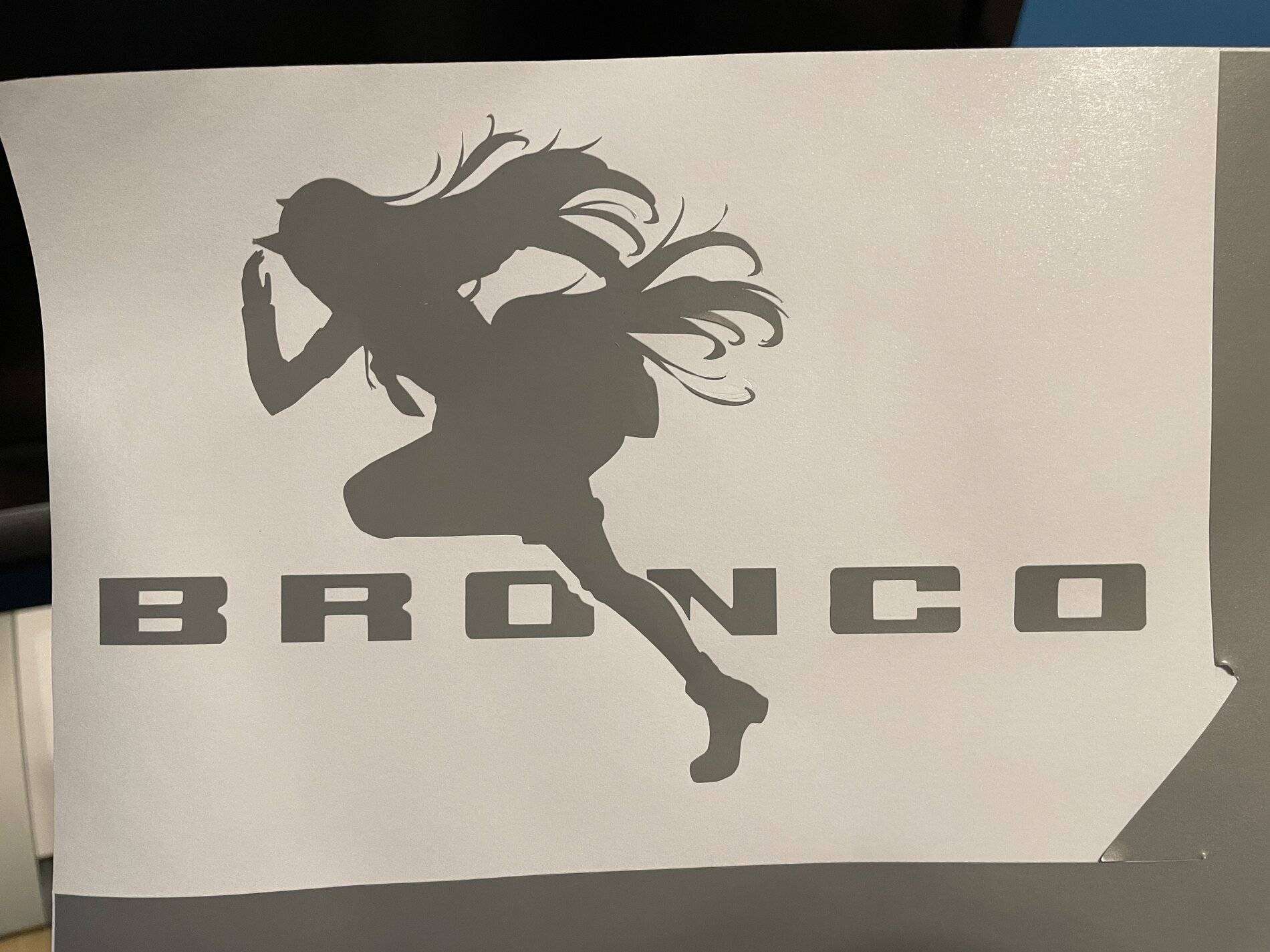 Rear window decal | Page 2 | 2021+ Ford Bronco Sport Forum ...