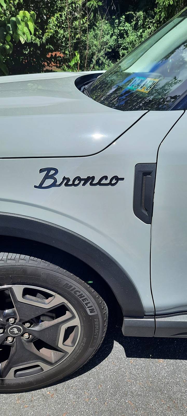 Bronco script emblem | 2021+ Ford Bronco Sport Forum - Broncosportforum.com