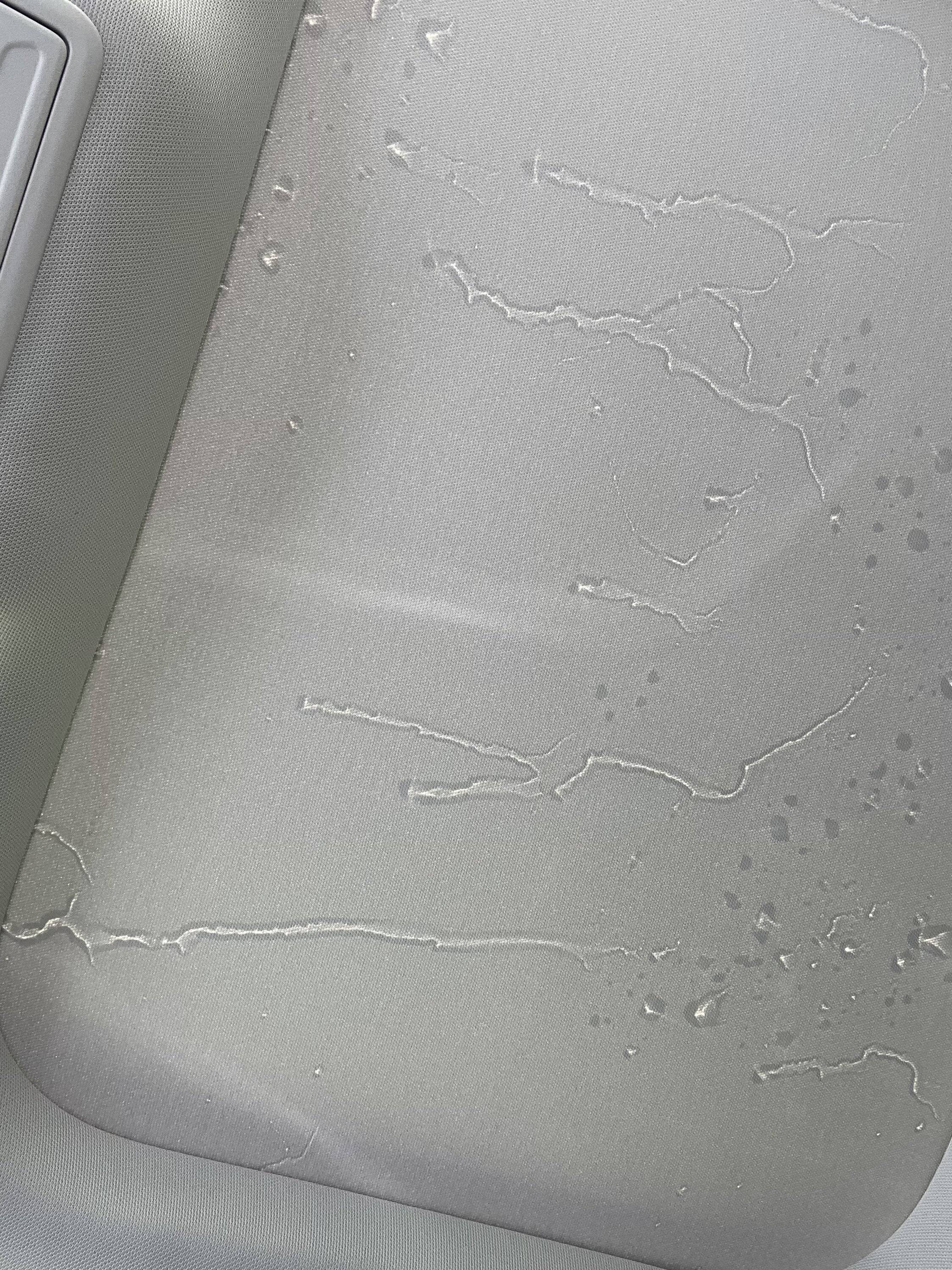 Sunroof Leak | 2021+ Ford Bronco Sport Forum - Broncosportforum.com
