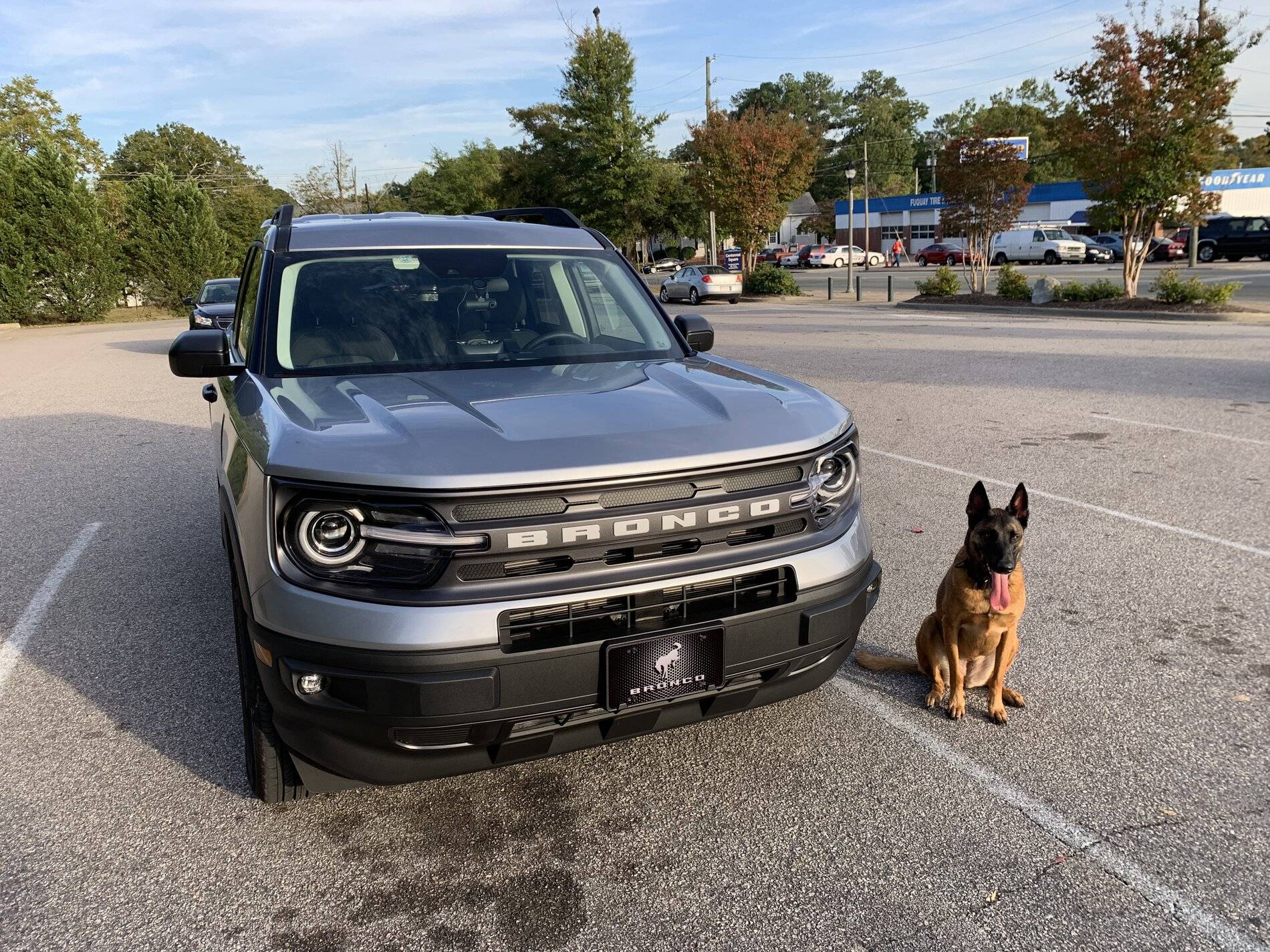 Show me your dogs!! | Page 3 | 2021+ Ford Bronco Sport Forum ...