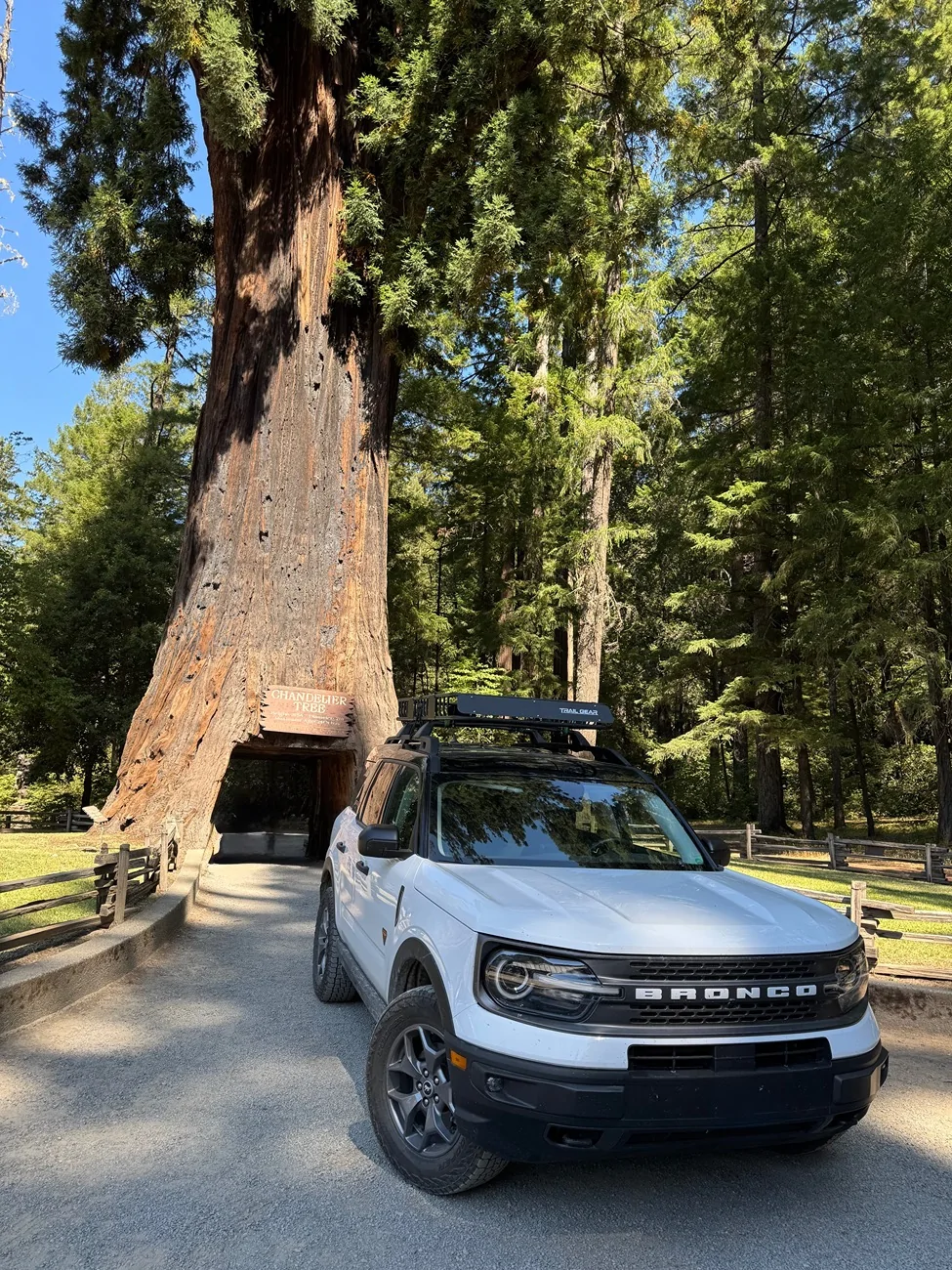 The “Not” Drive Thru Tree | 2021+ Ford Bronco Sport Forum ...