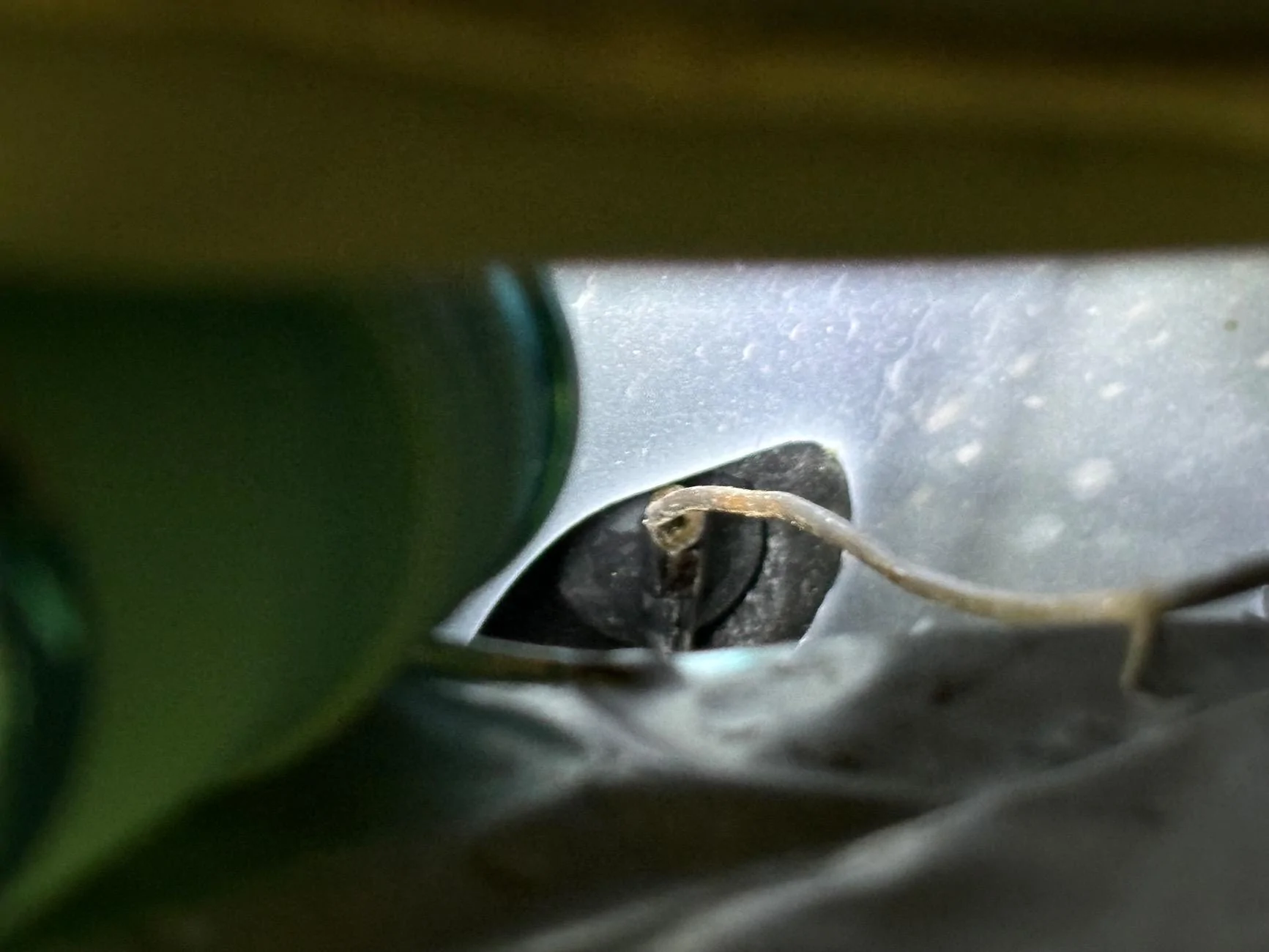 Ac condensate drain line where is it | 2021+ Ford Bronco Sport Forum ...