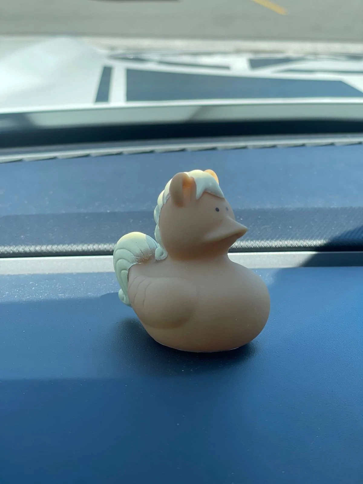 Jeeps use ducks; what do Bronco Sports use? | Page 2 | 2021+ Ford ...