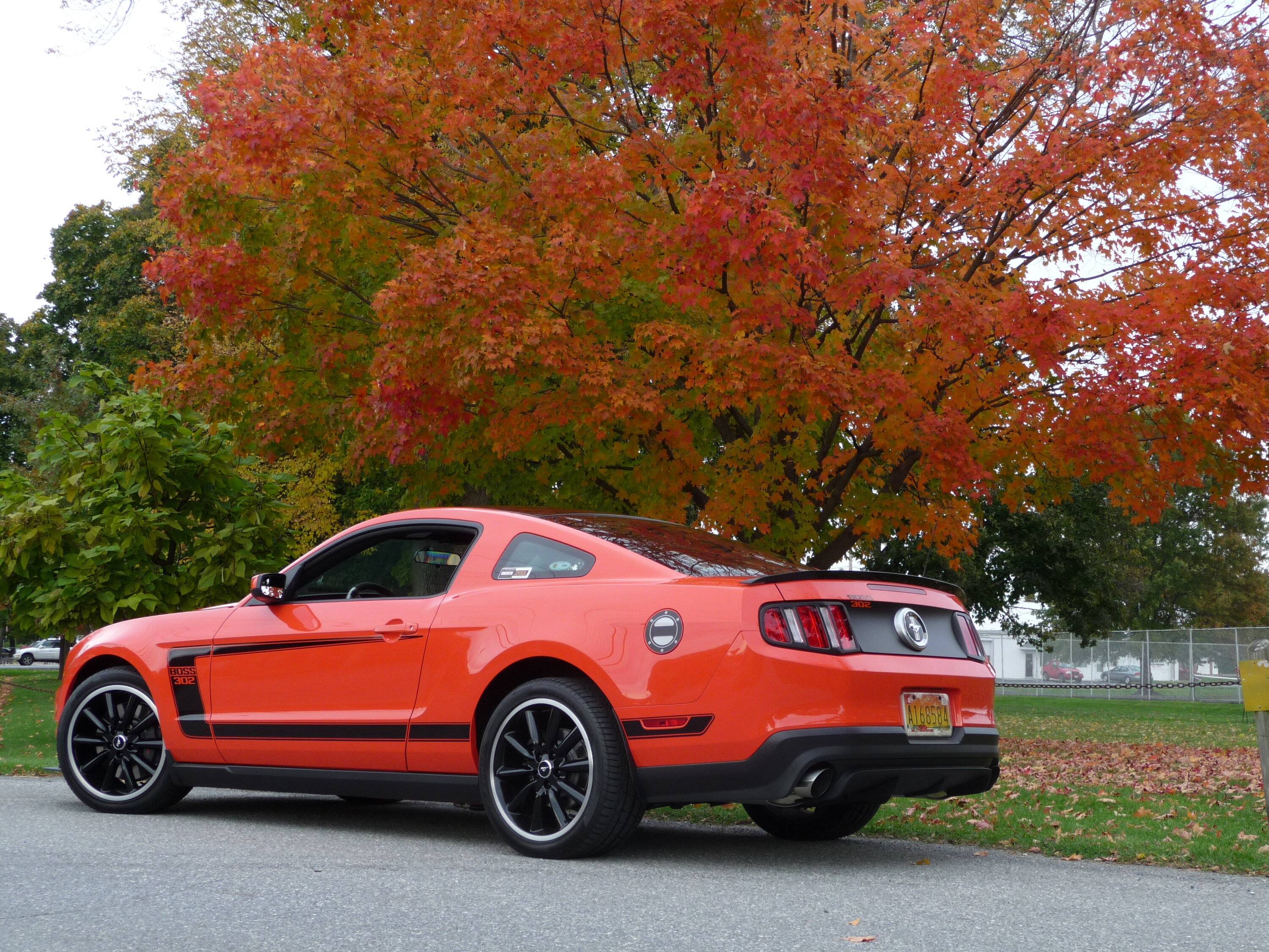 Nature's Cyber Orange | 2021+ Ford Bronco Sport Forum ...