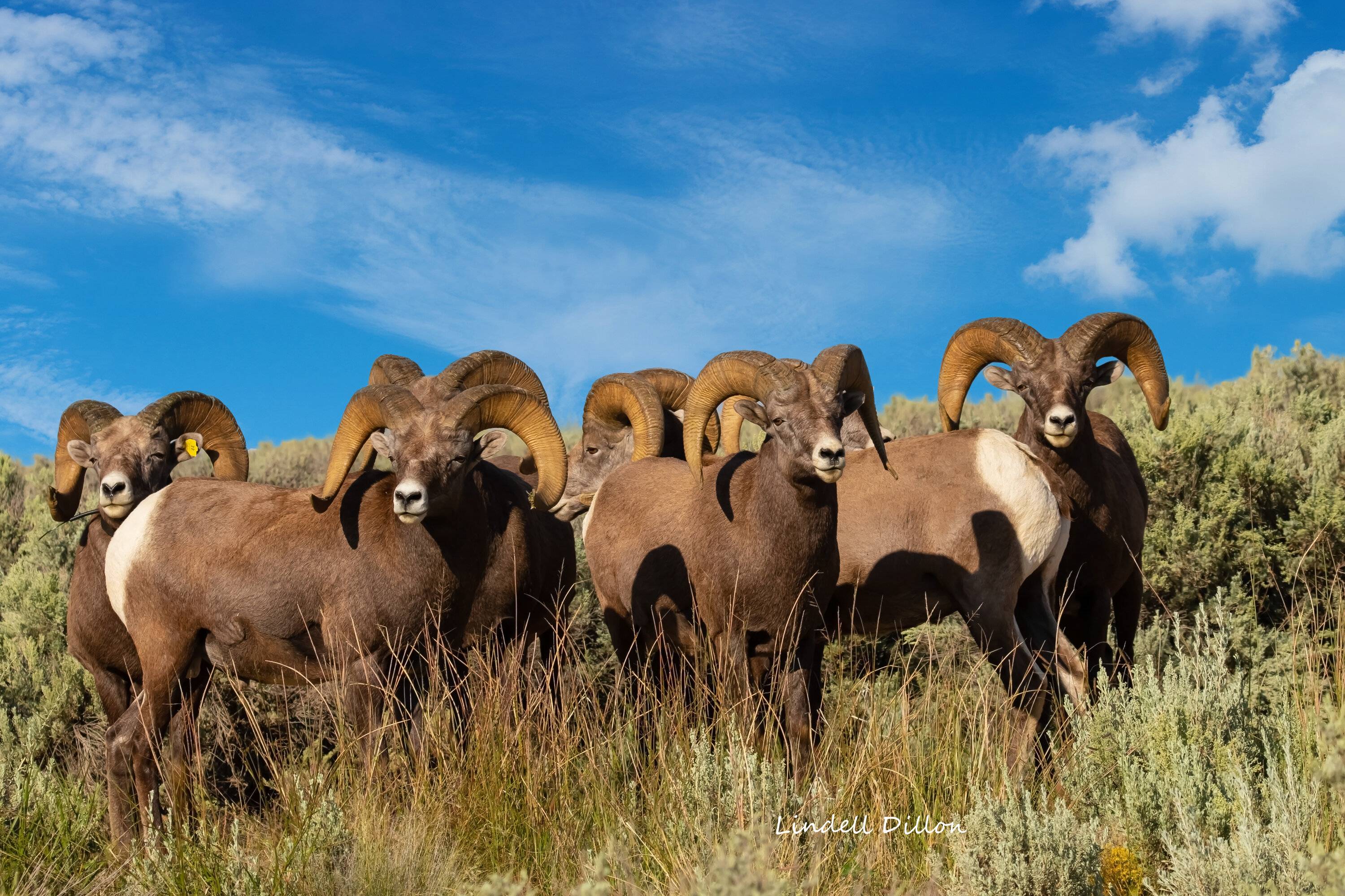 Photos of Bronco Sports in the Wild | Page 2 | 2021+ Ford Bronco Sport ...