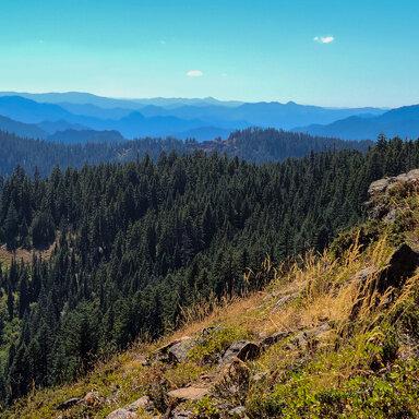 Twin clutch AWD + Torque vectoring explanation? | 2021+ Ford Bronco ...