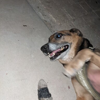 8f35 transmission fluid change video and good info | 2021+ Ford Bronco ...